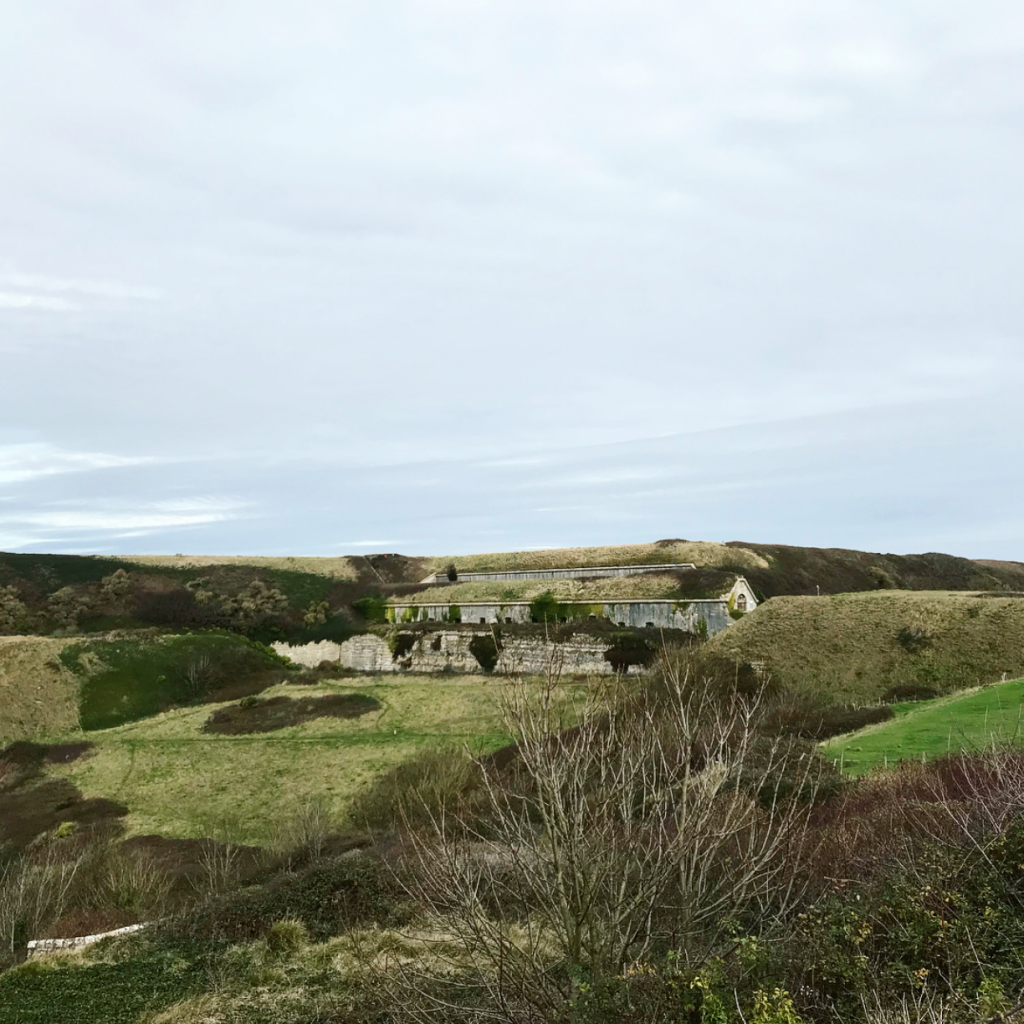 Activities in Portland